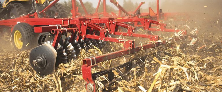 Sunflower - Maple Lane Farm Service